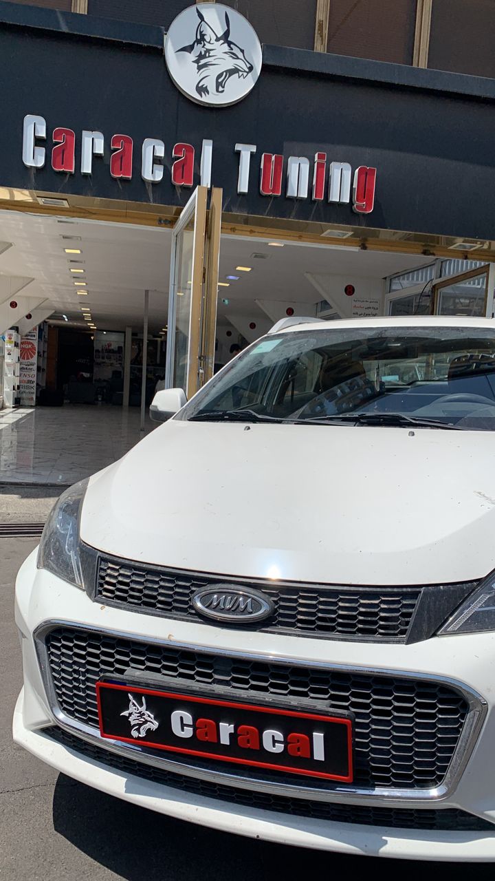 ریمپ ام وی ام 315 Remap MVM